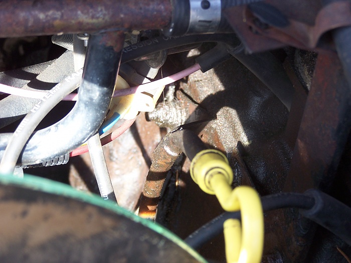 Renix Ground Refreshing | cruiser54